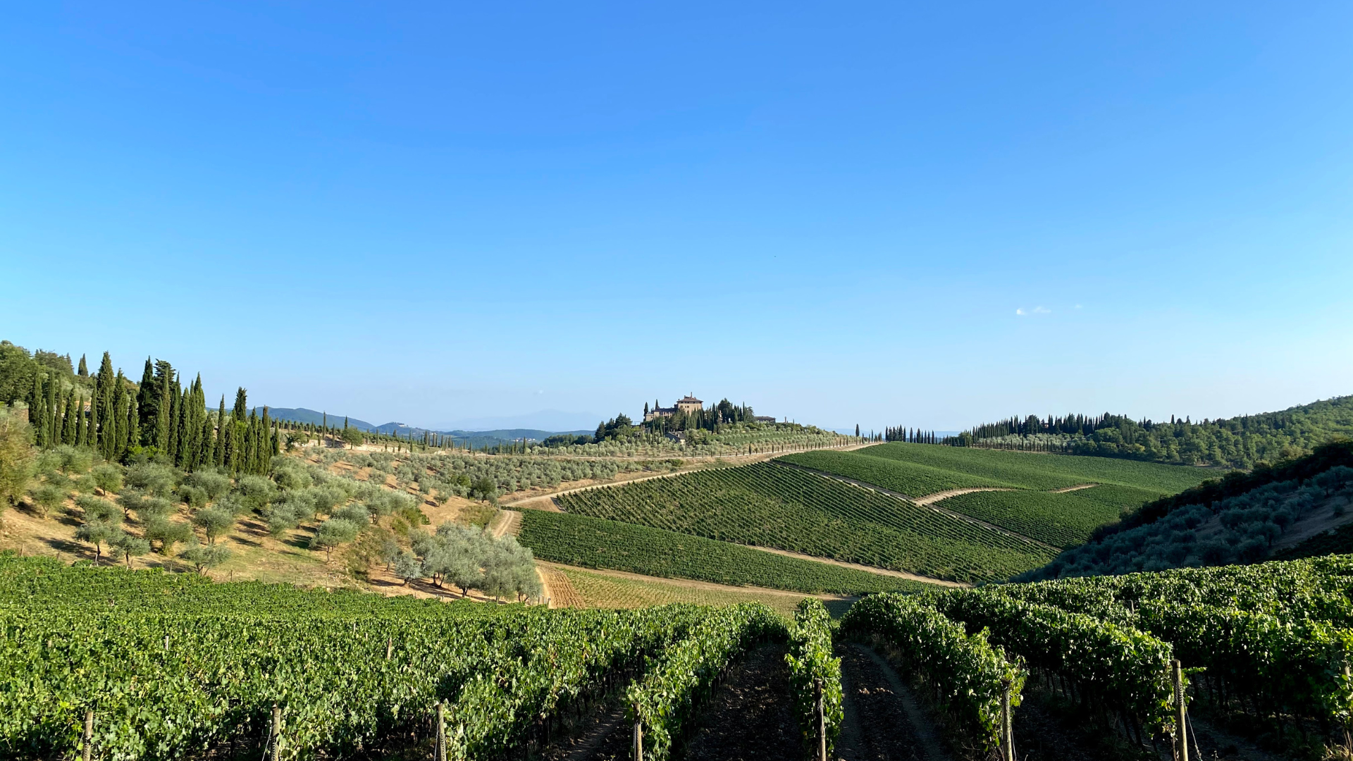 Reisgids Toscane | To Toscane